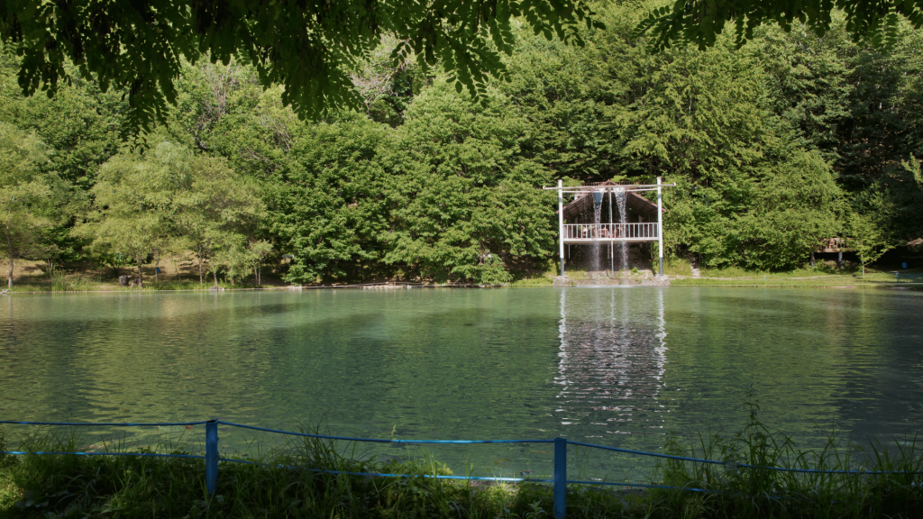 Gabala Tour From Baku – Skyholidays.travel